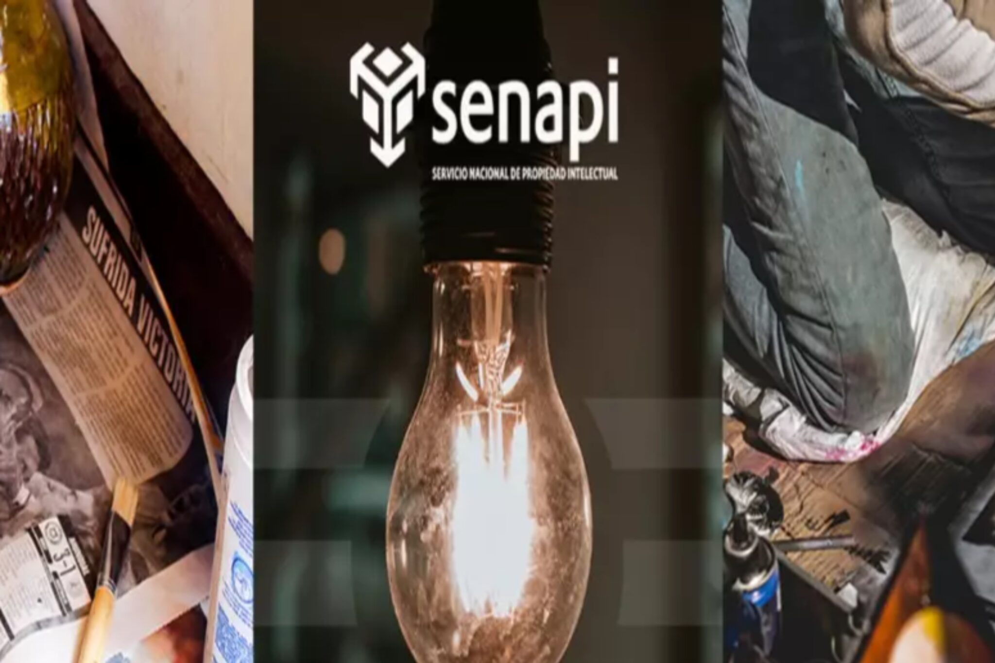 Registra tu marca en Bolivia: 10 pasos para protegerla en el Senapi ...